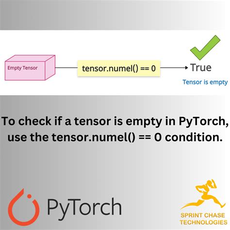 How To Create And Check Empty Tensor In PyTorch