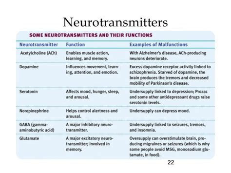 Chapter 2 Neuroscience And Behavior