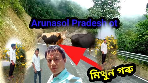 Arunachal Girl Bloggertour Planner Blog Arunachalpradesh Youtube