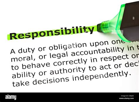 Definition Of The Word Responsibility Highlighted In Green With Felt