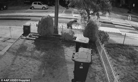 Mystery Surrounds Disappearance Of A Man Who Was Bundled Into A Car
