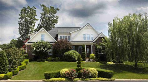 Do Trees Increase Property Value An Expert Insight