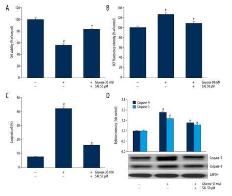 Salidroside Reduces High Glucose Induced Podocyte Apoptosis And