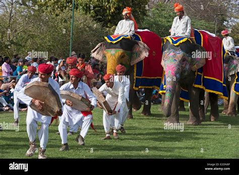 India Rajasthan State Jaipur Elephant Festival Stock Photo Alamy