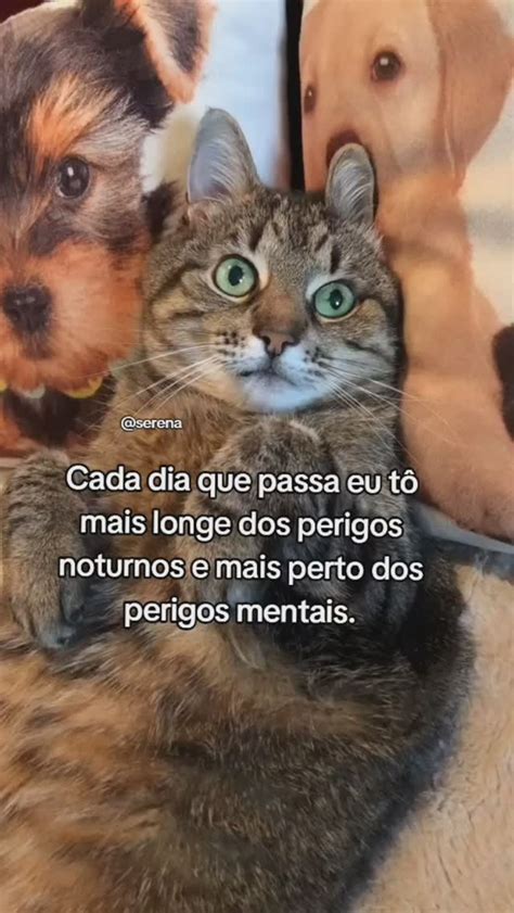 Serena💜 🤪😵‍💫🤯 Instagram