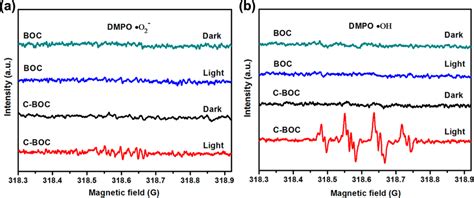 Esr Spectra Of A Dmpo− • O 2 − And B Dmpo− • Oh Adducts Of Boc And