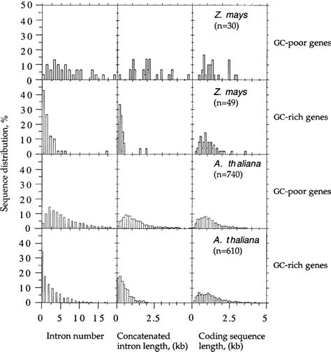 Distributions Of Intron Number Length Of Concatenated Introns And Download Scientific