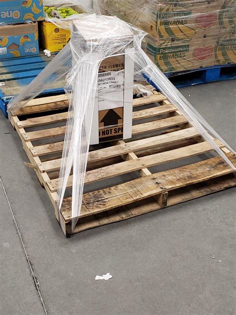 The Worlds Safest Plant Right Here Rwalmart