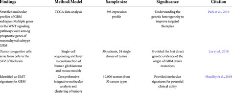 Implication Of Wnt Signaling In Glioblastoma Gbm Development And