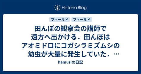 Hamusi