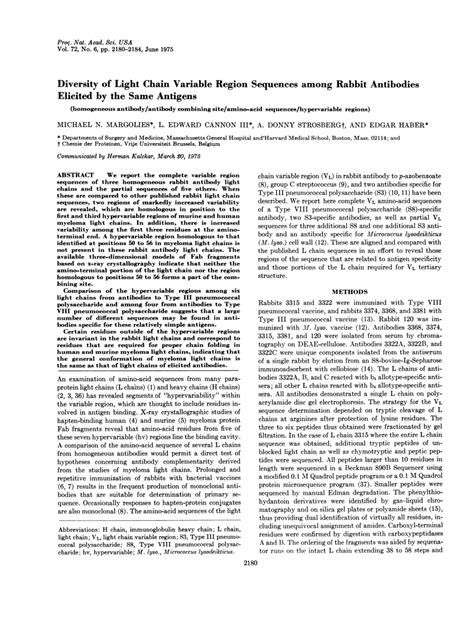 Pdf Diversity Of Light Chain Variable Region Sequences Among Rabbit
