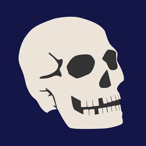 Premium Vector Human Skull Isolated On Dark Background Vector
