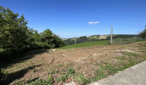 Terreno Attualmente Edificabile Immobiliare Di Zocca