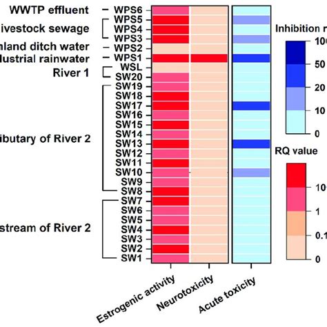 Acute Toxicity Estrogenic Activity And Neurotoxicity Risk Assessment
