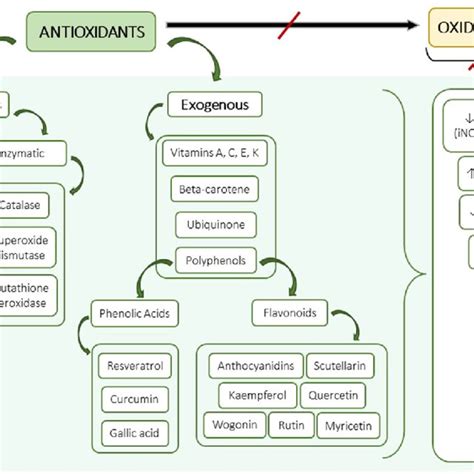 Endogenous And Exogenous Antioxidants Besides The Endogenous