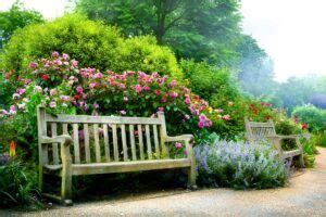 Gardener S Path Get The Best Horticulture Advice On The Net