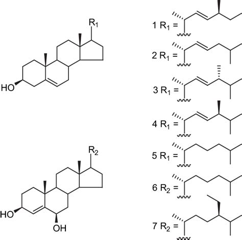 Chemical Structures Of Sterols 1À7 Download Scientific Diagram