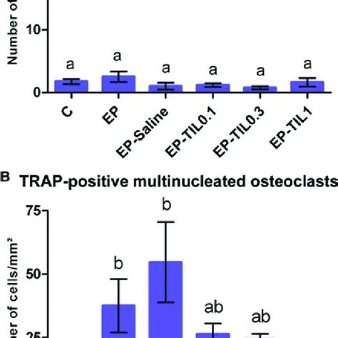 Micro Ct Analysis Means Standard Deviations Of The Alveolar Bone Level