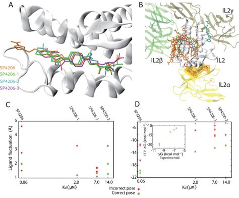 Ligand Receptor Analysis Service Mtoz Biolabs