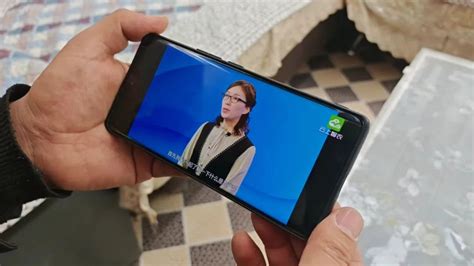 湟中区 90后“新农人”逐梦在希望的田野上澎湃号·政务澎湃新闻 The Paper