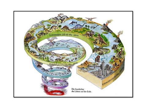 Aprendiendo Juntos Ciencias CronologÍa De La EvoluciÓn BiolÓgica
