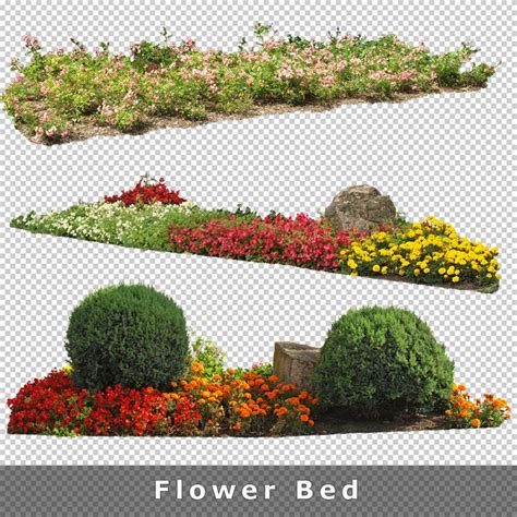 11 Best Photoshop Images On Pinterest Photoshop Flower Plants And