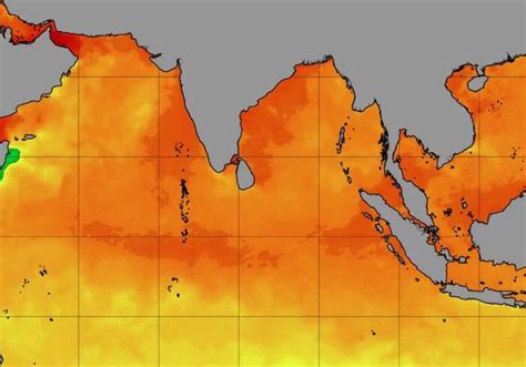 Ocean Heat Is Off The Charts What It Means For Humans And Ecosystems