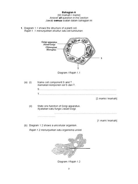 Kertas 2 Biologi Ppt F4 Pdf