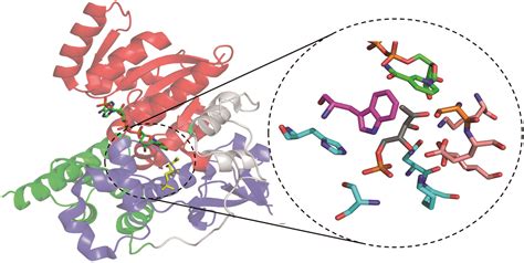 Review Of The Biosynthetic Mep Pathway And Potential Anti Infective