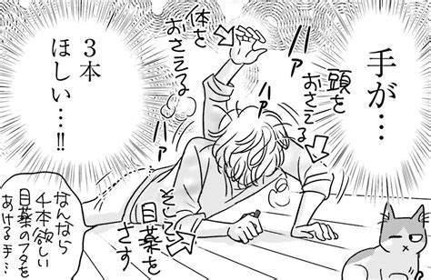 手が3本ほしい 嫌がり逃げまわる愛猫にひとりで目薬を差すのは至難の業彼とねこが待っている2② ダヴィンチWeb