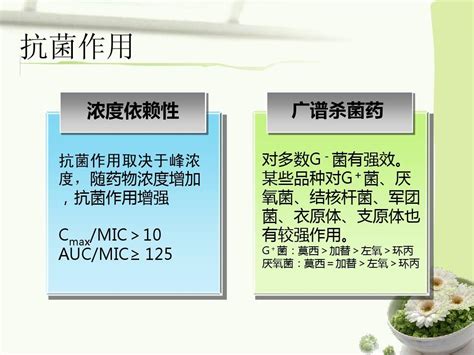 喹诺酮类抗菌药大全 Word文档在线阅读与下载 无忧文档
