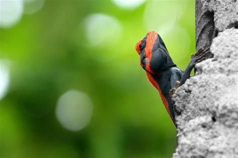 Do Hole Adobe Photoshop Editing And Lightroom By Sridharpothu746 Fiverr