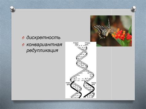 Эволюция жизни презентация онлайн