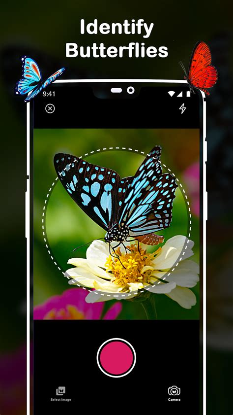 Insect Identifier Insect ID AI Photo Camera pour Android Télécharger