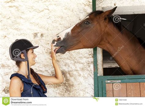 Junge Reiterin Mit Seinen Pferden Im Stall Stockfoto Bild Von Kasten Freundschaft