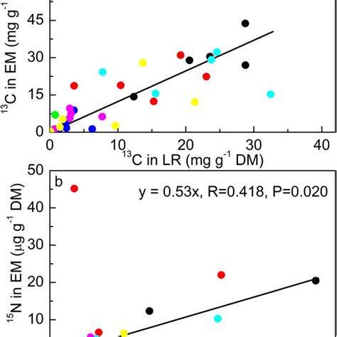 Relationship Of Isotope Enrichment In Ectomycorrhizas With The Isotope