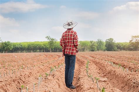 Premium Photo Farmer Checking Cassava Field Progress Holding Tablet
