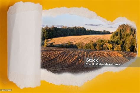 쟁기장의 풍경을 보여주기 위해 종이 프레임에 구멍을 찢어 0명에 대한 스톡 사진 및 기타 이미지 0명 가을 갈기갈기 찢어진 Istock