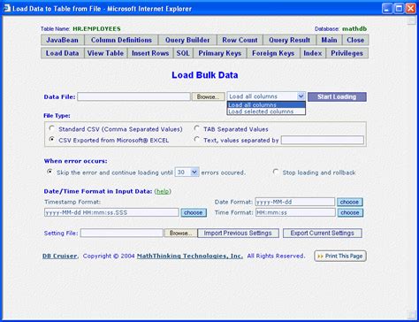 Db Cruiser Table Work Area Load Bulk Data