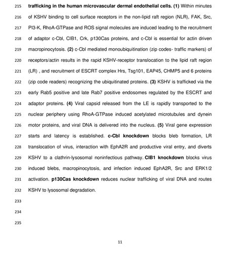 Schematic Representation Of Kshv Entry By Macropinocytosis And