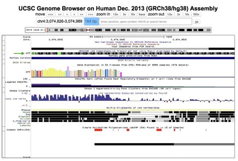 What Is An In Silico Pcr How To Perform It