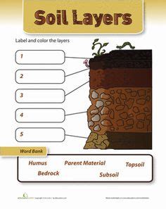 Rd Grade Sci Soil Ideas Teaching Science Science Classroom Earth Science