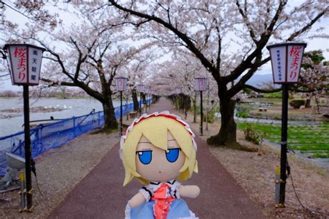 4月8日瓢湖のツルシギさん Crimson SKY
