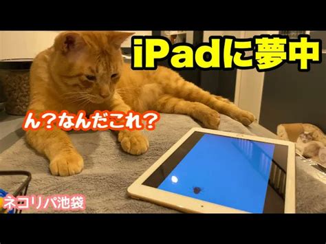 On Twitter Ipad