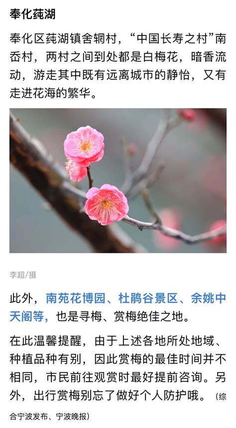 这份宁波赏梅地图请收好