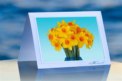 Cheery Lavish Cards Fine Art Corporate Greeting Cards
