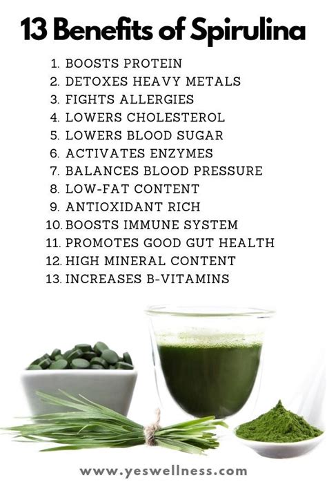 13 Benefits Of Spirulina You Need To Know About Spirulina Benefits