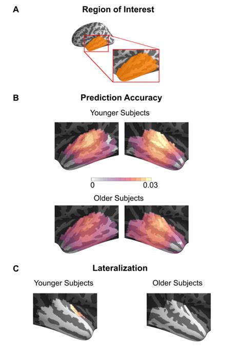 Fig A1 Prediction Accuracy Of Surface Source Space Trfs Pearson Download Scientific Diagram