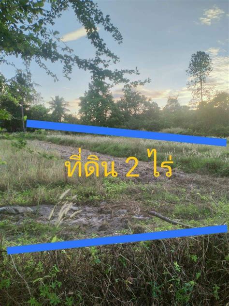 L878 ขายที่ดินสวยทำเลดี ใกล้ตัวเมืองอุบลฯ เนื้อที่ 2 ไร่ หน้ากว้าง 76 ...