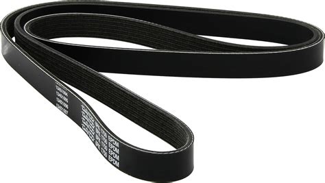 DAYCO 6PK1750 Cinghia Poly-V: Amazon.it: Auto e Moto